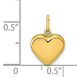 The Black Bow 14k Yellow Gold Puffed Heart Charm or Pendant, 10mm (3/8 Inch)
