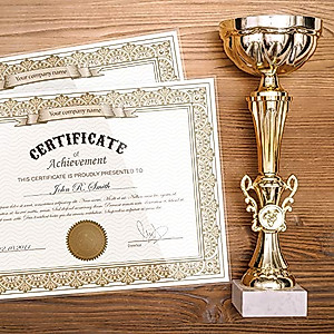 Everest Thermal Laminating Pouches, 8.9 x 11.4 Inches, 3 Mil Thick, 220 - Pack, Letter Size Sheets, Clear(TH0300-02)