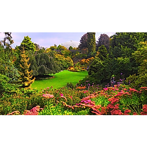 Triple Threat Selective Weed Killer Herbicide for Lawns and Turf - 1 Gallon Jug (Makes 64 Gallons)