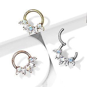 Pierced Owl 16GA Stainless Steel Multi CZ Crystal Fan Cartilage Helix Daith Septum Hinged Segment Ring (Silver Tone)