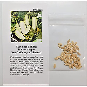 David's Garden Seeds Cucumber Pickling Salt and Pepper FBA-7764 (White) 25 Non-GMO, Open Pollinated Seeds