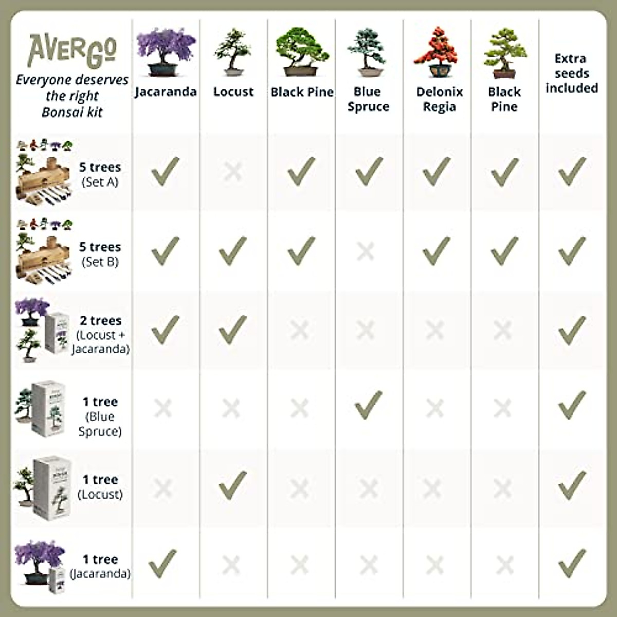 Bonsai Tree Kit – 5X Unique Japanese Bonzai Trees | Complete Indoor ...