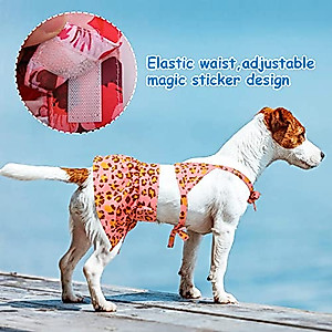 2-Pack Dog Bikini Swimsuit，Puppy Summer Beach Dress Doggie Swimwear, Rainbow/Mermaid/Floral/Leopard Dog Bathing Suit for Small Dogs Girl, Pet Clothes Cat Costumes Swimming-Dress