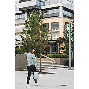 Sherpani Geo, Anti Theft Medium Crossbody Bag, Tote Bag, Travel Bag, Shoulder Bag, Purses for Women (Sterling)