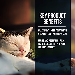 Fussie Cat Market Fresh Salmon Meal Formula Grain-Free Dry Cat Food 4lb