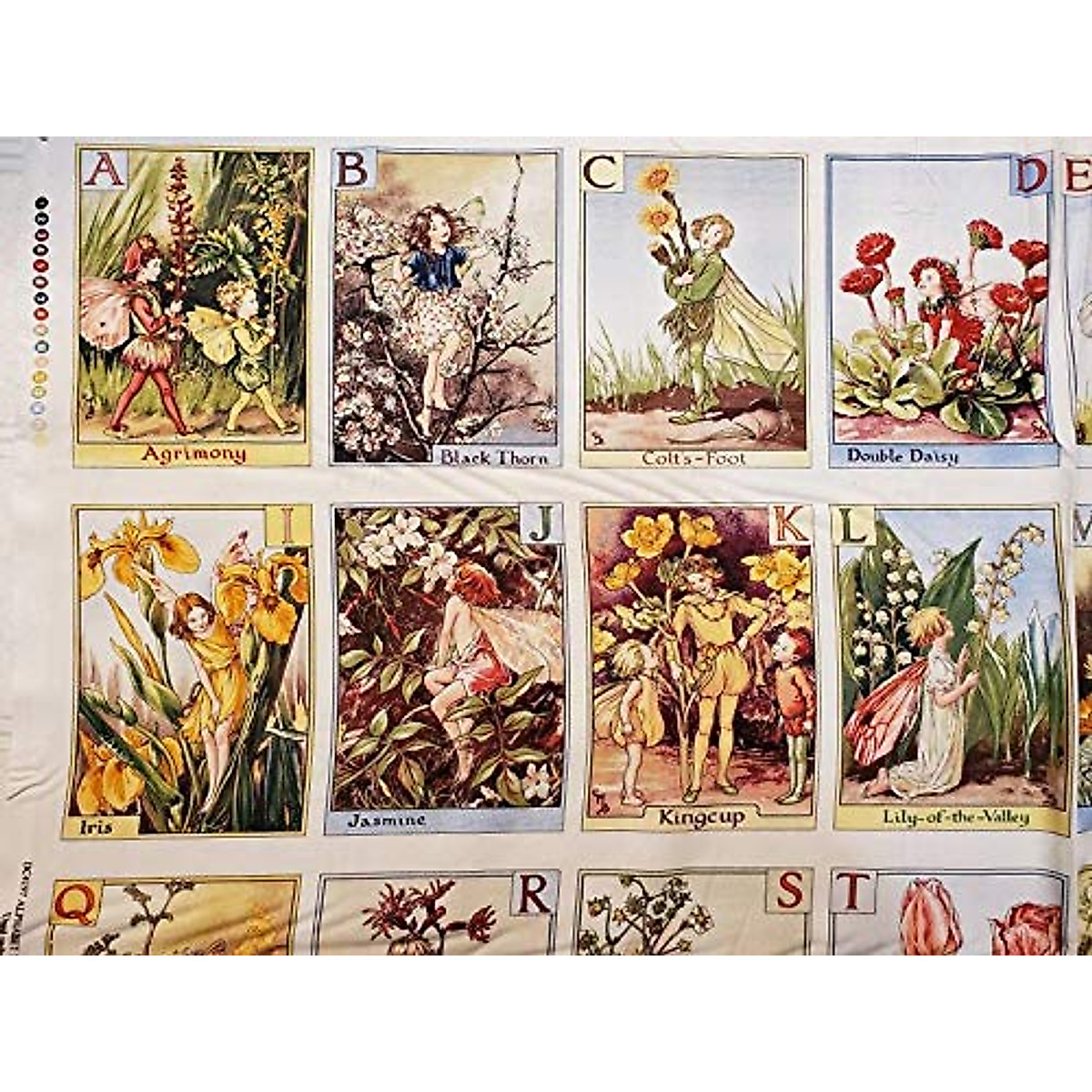 Alphabet Panel Flower Fairy ABC Fabric Michael Miller - 24 Inch Panel