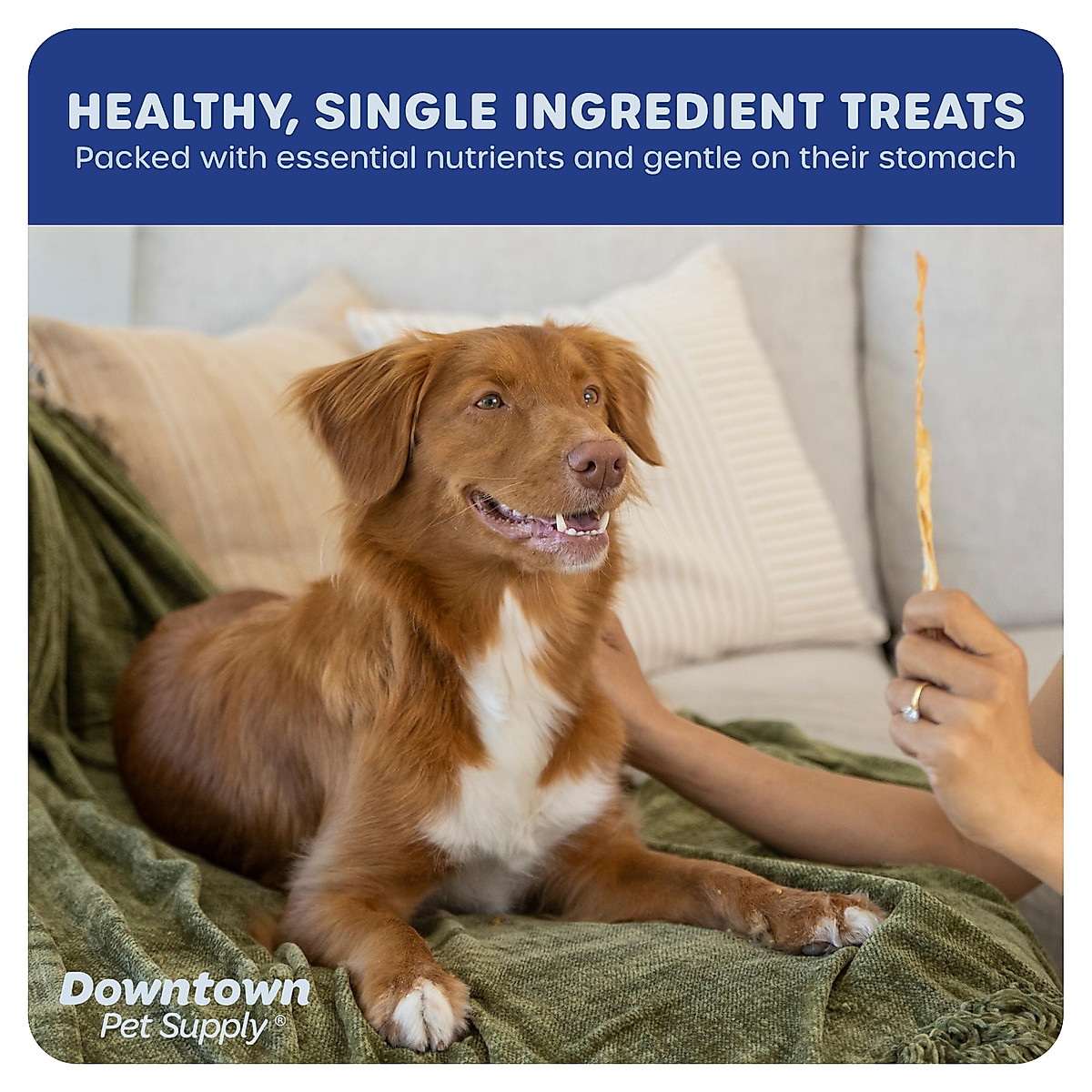 Downtown Pet Supply 12" Turkey Tendons for Dogs Made in USA, 10 Pack - Rawhide Free Dog Chews Long Lasting and Non-Splintering - Single Ingredient, Nutrient-Rich Tendon Chews for Dogs