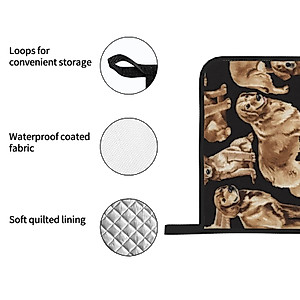 KiOrPeel Golden Retrievers Oven Mitts and Pot Holders Setfor, Heat Resistant Waterproof Non-Slip Kitchen Gloves for Cooking Baking Grilling, One Size
