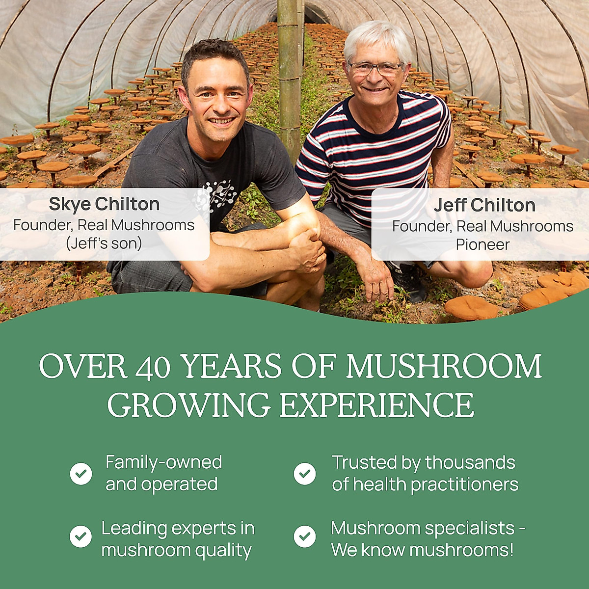 Real Mushrooms 5 Defenders Capsules - Organic Mushroom Extract w/ Chaga, Shiitake, Maitake, Turkey Tail, & Reishi - Mushroom Supplement - Vegan, Non-GMO, 90 Caps