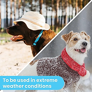 Pawtitas Nose Balm for Dogs for Moisturizers Dry, Chapped, Cracked, and Crusty Dog Noses Providing a Layer of Protection on Your Dog Snout Manufactured with Certified Organic Ingredients 0.15 OZ