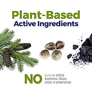 Boiron Acidil for Relief of Acid Reflux, Heartburn, Indigestion, and Upset Stomach (2 Pack of 60)