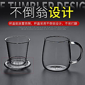 Homoyoyo Glass Tea Cups Coffee Filter 1 Set Glass Teacup Professional Filtration Tea Cup Teaware Double Walled Tumblers Tea Mugs with Infuser and Lid