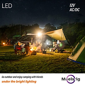 LED 12V Light Bulb, 100W Equivalent, Soft White 2700K, 13W 1200 Lumens, 12 Volt AC/DC, Non-Dimmable, E26 Base, Low Voltage Light Bulbs for Boat, RV, Shed, Off Grid Cabin, and Solar Power, 4-Pack