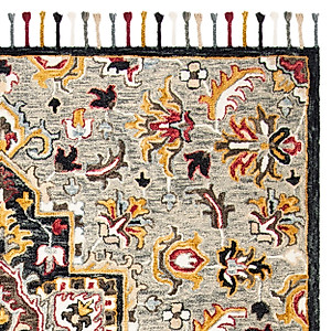 SAFAVIEH Aspen Collection Area Rug - 8' x 10', Grey & Charcoal, Handmade Boho Braided Tassel Wool, Ideal for High Traffic Areas in Living Room, Bedroom (APN207F)