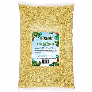 Bird Street Bistro Organic Hulled Millet Bird Seed - Bird Food - Millet for Birds and Canary, Finches, Small Wild Bird Food – Bird Feed with no Harmful substances, no fillers – White Millet Hulled