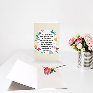 Best Friend Birthday Card, Funny Birthday Card for Bestie Sister, Friendship Card for Women Lady Girl, Thinking of You Card, Bitch Sandwich