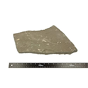 Carolina Custom Cages Natural Habitat Rocks, Blue Green (one Large Size)