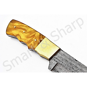 Smart & Sharp Custom Handmade Damascus Steel Hunting Knife/Skinning Knife AA-17235 (Beautiful Yellow & Brown Resin)