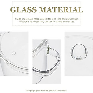 Glass Saucepan with Cover Heat-resistant Glass Stovetop Pot and Pan with Lid for Pasta Noodle, Soup, Milk, Baby Food (64oz/1900ml)