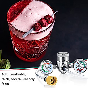 Whipped Cream Pressure Regulator Valve with Hose Line and Adapter for Whipped Cream Chargers 0.95 Liter 580g Tank