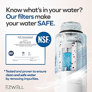 EZWELL Visible Filtered Shower Head LITE Sediment Filter with High Pressure NSF Certified Korea| Filtration System, Removes Rust | - Good for Dry skin & Hair, Travel, RV, Bathroom - Easy Install