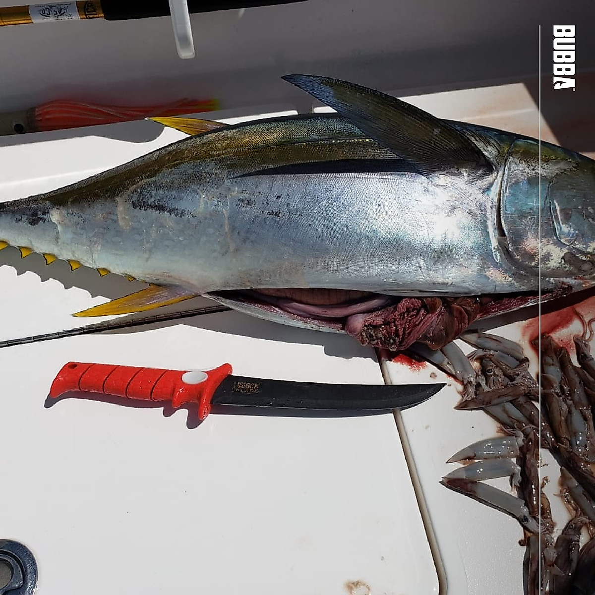 Bubba 9 Inch Stiff Fillet Knife with Non-Slip Grip Handle, Full Tang Beveled Sushi Style Stainless Steel Non-Stick Thick Blade, Lanyard Hole and Synthetic Sheath for Fishing, Hunting and Cooking