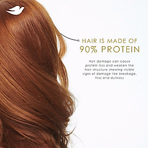 Dove Shampoo Intensive Repair for Damaged Hair with Bio-Protein Care Technology and Amino Serum 12 Fl Oz