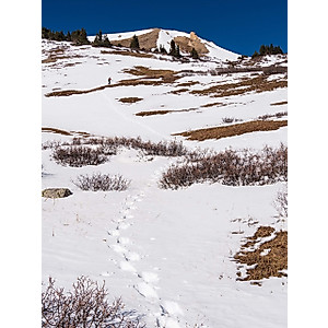 NORTHERN LITES Backcountry Tru-Track Blue Snowshoe