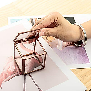 Feyarl Tiny Clear Glass Jewelry Trinket Box Ornate Rings Earrings Shadow Organizer Treasure Chest Decorative Keepsake Case with Lid for Wedding Birthday Gift (Brass)