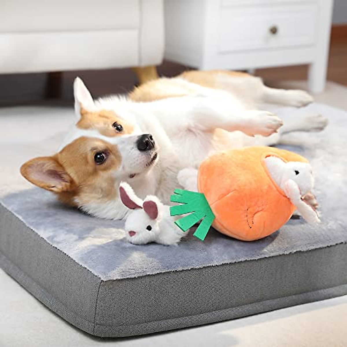 Amazon Basics Hide and Seek Squeaky Dog Plush Toy, Rabbit and Carrot, Orange and white, 5 Pack