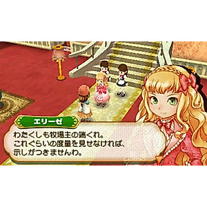 牧場物語 つながる新天地