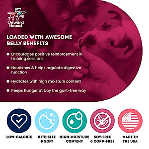 Onward Hound 10oz Low Calorie Training Treats for Dogs with Sensitive Stomachs - 4 Pack Variety Dog Treat Bundle - Made in The USA, No Corn, Wheat, or Soy