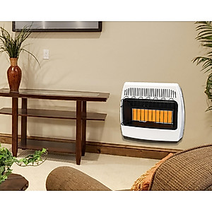 Dyna-Glo IR30PMDG-1 30,000 BTU Liquid Propane Infrared Vent Free Wall Heater White