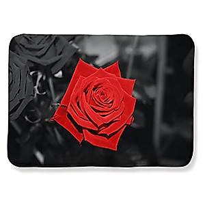 AIDOXY Large Farmhouse Rug Farmhouse Decor, Romantic Rose Black White Red Painting Abstract Mat Area Rug Home Decor Non-Slip Crystal Floor Polyester Mat 19.6x31.5inch