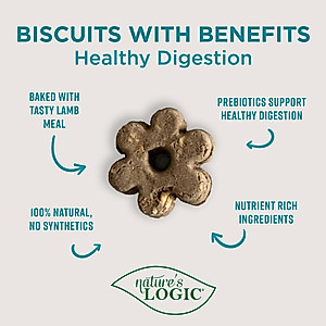 Nature's Logic Biscuits with Benefits Healthy Digestion, 12oz