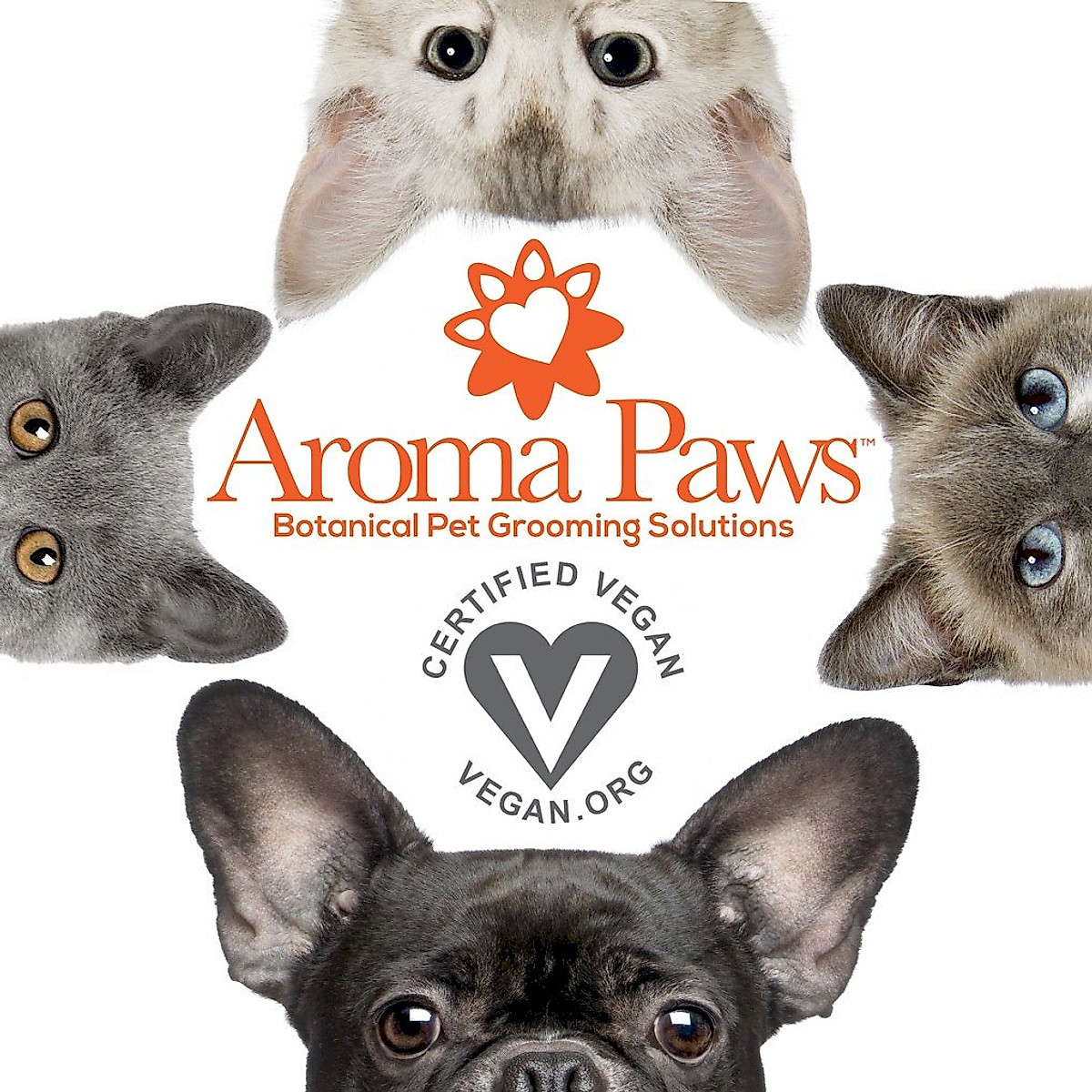 Aroma Paws Scented Dog Coat Spray – Cleansing, Conditioning, Moisturizing – Toxin Free, Healthy Ingredients – Aromatic Grooming Puppy Spray – Loosens Knots, Tangles – 4.5 Oz., Mandarin Ginger