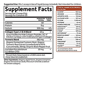 Garden of Life Multi-Sourced Protein Hydrolyzed Collagen Peptides Powder Supplements for Women Men Joints Mobility, Apple Cinnamon, Turmeric, 20 Servings, 7.76 Oz