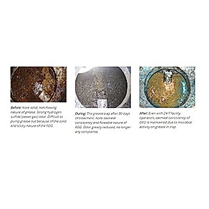 Black Diamond Stoneworks GET SERIOUS Grease Trap Treatment and Odor Control 1-G AND Restaurant Bio-Deodorizing Floor Cleaner Heavy Duty Commercial Concentrated Enzyme Degreaser, Odor Eliminator 1-G