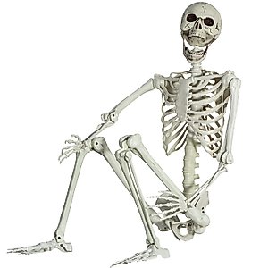 5.4Ft/165cm Posable Halloween Skeleton, Full Body Life Size Skeleton with Movable Joints for Indoor Outdoor Halloween Decorations, Spooky Party Props Decor