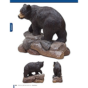Power Carving Manual, Second Edition: Tools, Techniques, and 22 All-Time Favorite Projects (Fox Chapel Publishing) Step-by-Step Projects and Photos, Buyer's Guide, Expert Information, and Inspiration