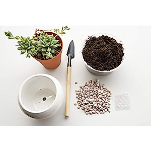 Mosser Lee ML1122 Pearl Stone Soil Cover, 5 lb.