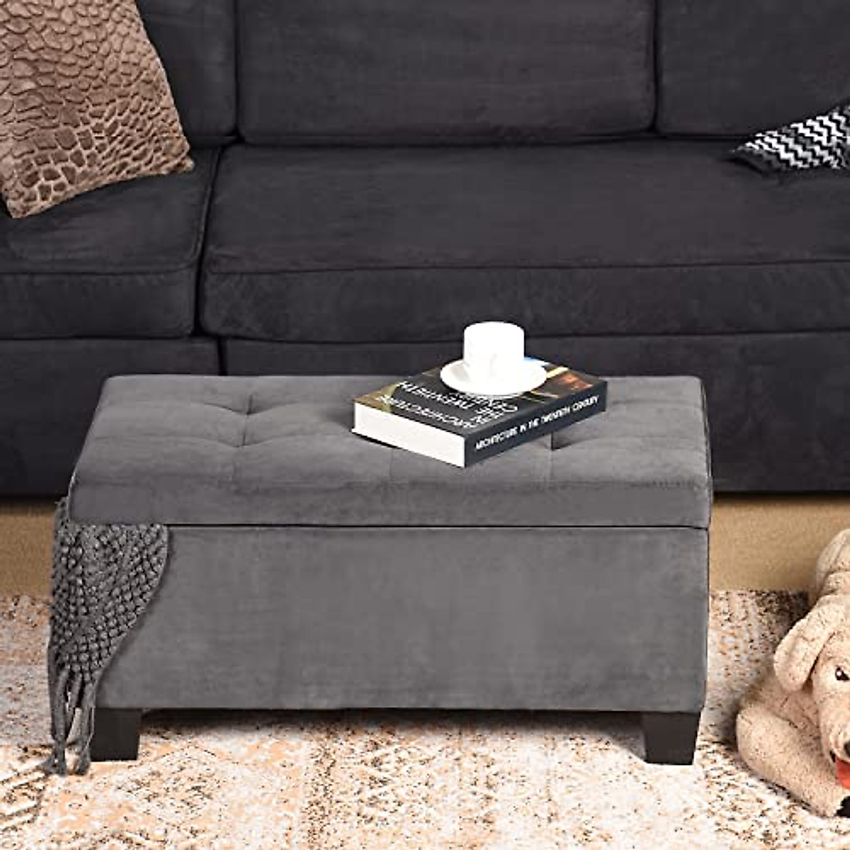 Homy Casa 30'' Storage Ottoman Tufted Velvet Ottoman Bench Upholstered Ottoman with Storage/Lid/Hinge, Modern Foot Rest Stool for Living Room Bedroom Entryway, Grey