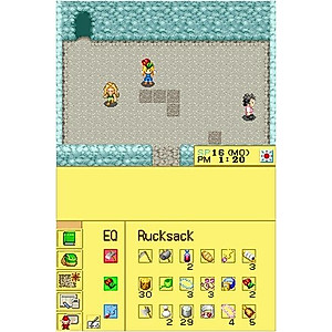 Harvest Moon DS Cute (Renewed)