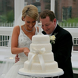 Sparkles Make It Special Wedding Cake Dessert Set with 13-Inch Knife and 10.5-Inch Server - Birthday Anniversary - Faux Crystal Handle - Silver