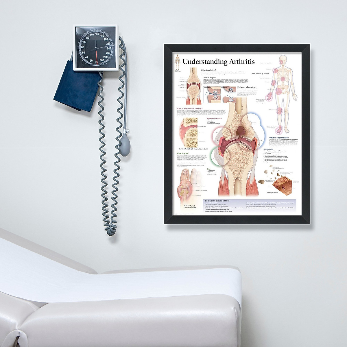 The Eye, Wall Decor Poster and Frame, Educational Art for Classrooms and Offices