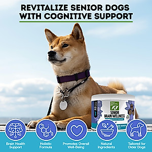 ONLY NATURAL PET Senior Brain Wellness Dog Chews - Soft Dog Chews for Senior Dogs, Small, Medium & Large Breeds, Toothless & Geriatric Dogs, Chicken & Bacon Flavor Dog Snacks, Baked Treats - 60 Count