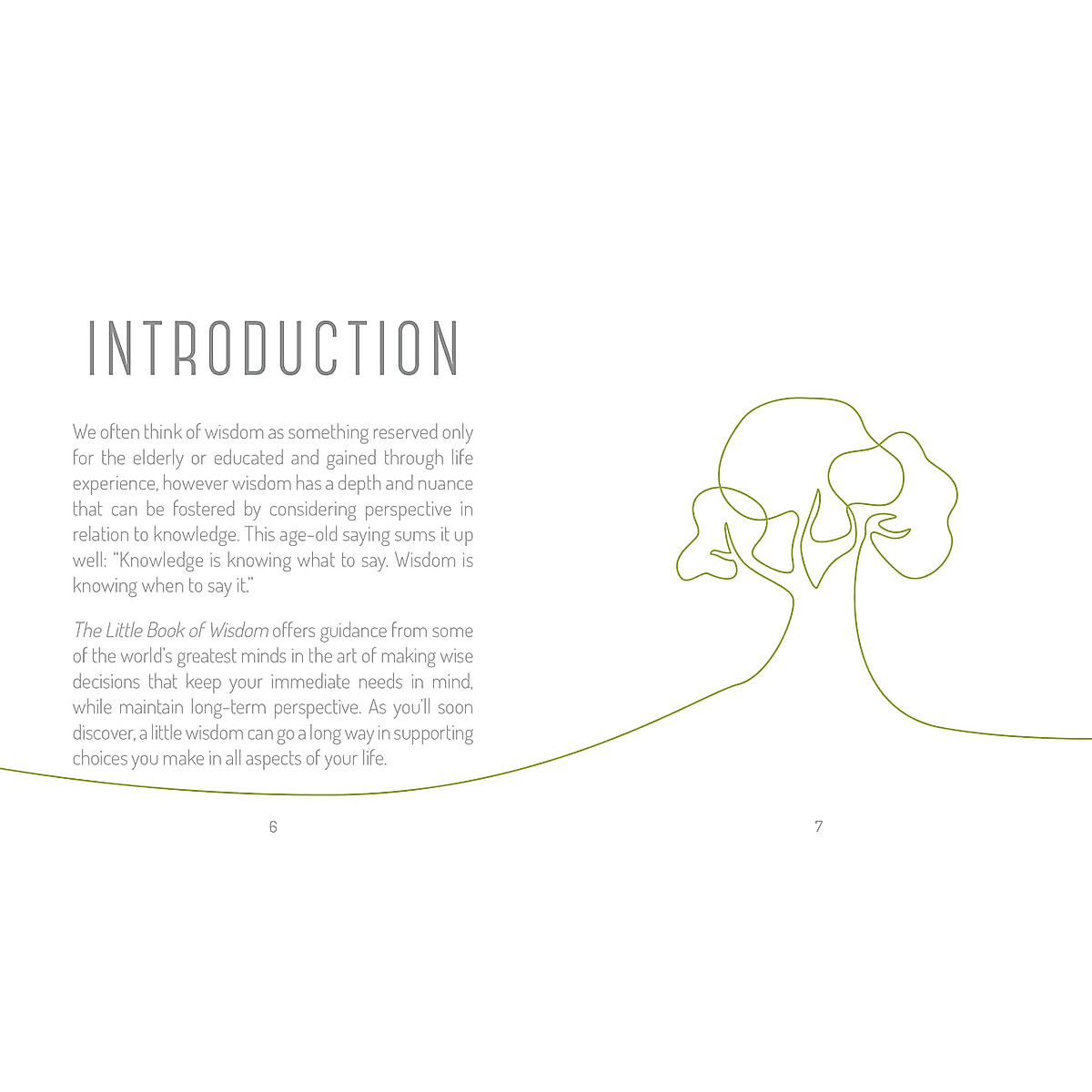 The Little Book of Wisdom: For when life gets a little tough (Little Books of Wellbeing)