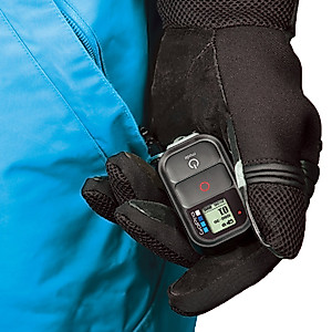 GoPro Wi-Fi Remote (GoPro Official Accessory)