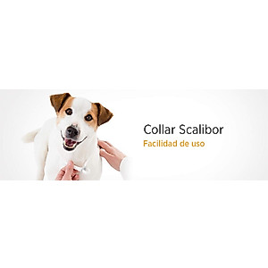Antiparasitaire Collier Scalibor 48 cm