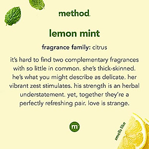 Method Gel Dish Soap Refill, Lemon Mint, Biodegradable Formula, Tough on Grease, 36 Fl Oz (Pack of 6)